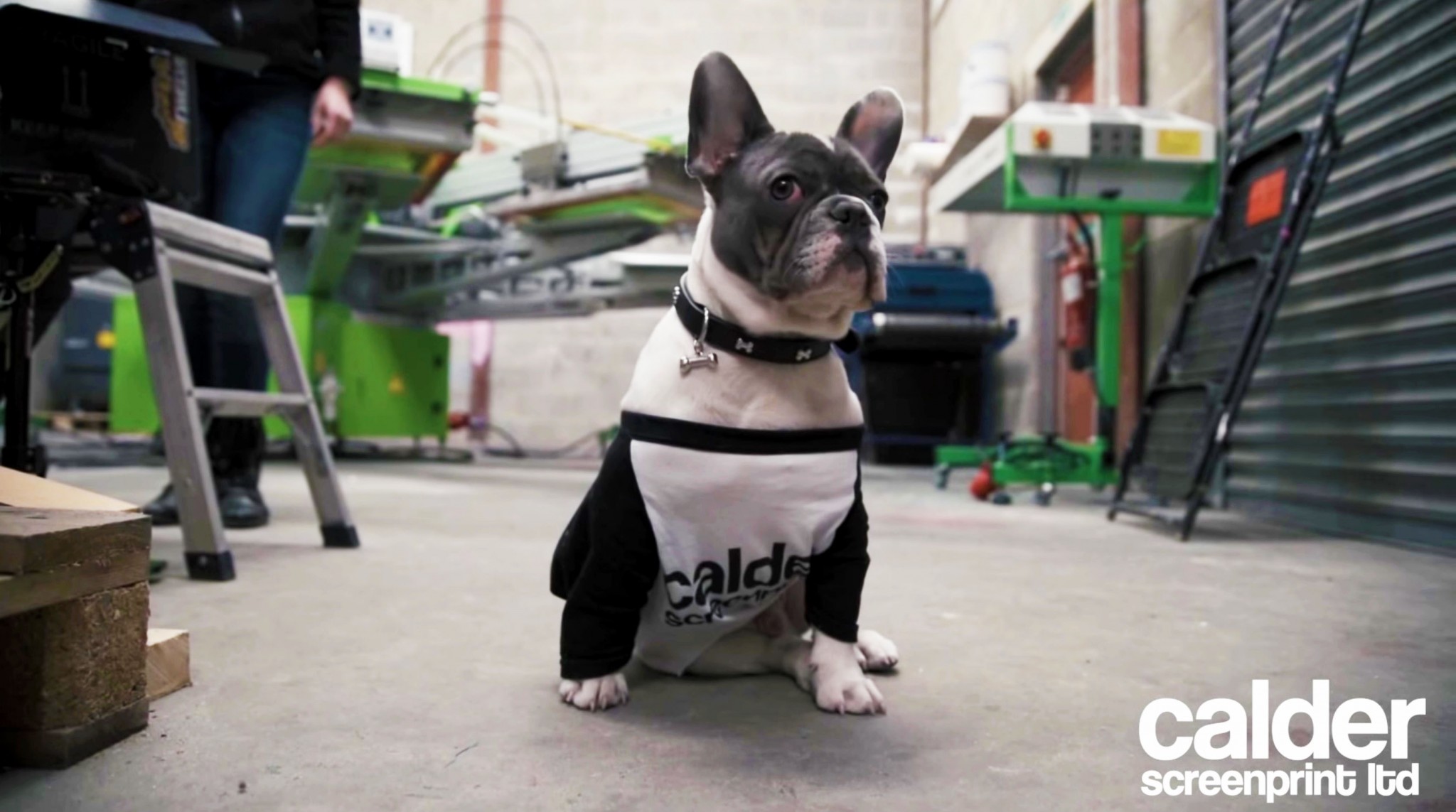 Team mascot - Contract Screen Printer and t shirt printing